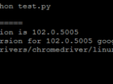 Setting Up Selenium With Python And Chrome Driver On Ubuntu