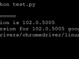 Setting Up Selenium With Python And Chrome Driver On Ubuntu