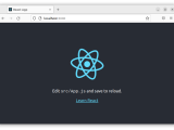 How To Dockerize A Reactjs Application Tecadmin
