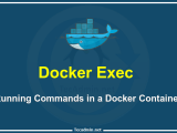 Docker Exec Running Commands In A Docker Container Tecadmin