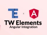 Tw Elements Integration With Angular Free Examples Tutorial