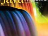 пёџгђ Cгіmo Programar En Java Netbeans Pdf Tech10