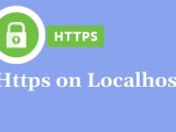 Enable Https On Xampp Virtual Hosts For Secure Local Development