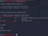 Exploiting File Upload Vulnerabilities With Metasploit Tech
