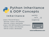 Python Inheritance Guide Techbeamers
