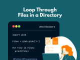 Python Loop Through Files In A Directory Techbeamers