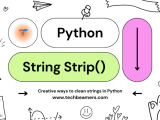 Python String Strip Techbeamers