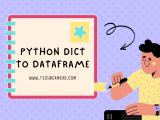 Python Convert Python Dictionary To Dataframe Techbeamers