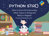 Str Function In Python Explained With Examples