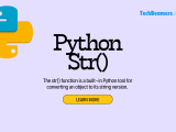 Python Str Function Tutorial Techbeamers