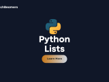 Python List Techbeamers