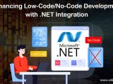 Enhancing Low Code No Code Development With Net Integration