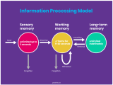 Cognitive Information Processing Cip The Tech Bender
