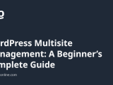 Wordpress Multisite Management A Beginner S Complete Guide Tech Buzz