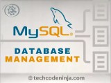 Impressive Mysql Database Management In 2024