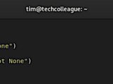 Python Check If Variable Is None Techcolleague