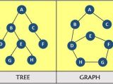 Difference Between Tree And Graph With Comparison Chart Tech