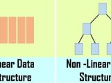 Difference Between Linear And Non Linear Data Structure With