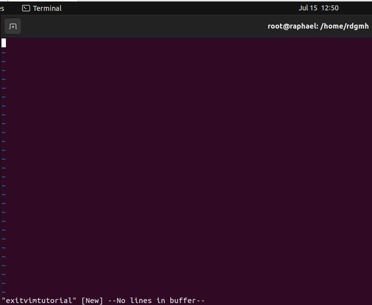How to Exit Linux Vim or Vi Editor - TechDirectArchive