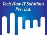 Techflow It Solutions Professional It Services Infrastructure