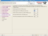 Step By Step Oracle 12c Database Installation On Linux Techgoeasy
