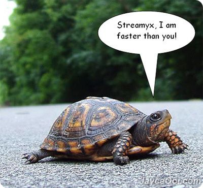 3 Reasons That Your Internet Connection Is Slow