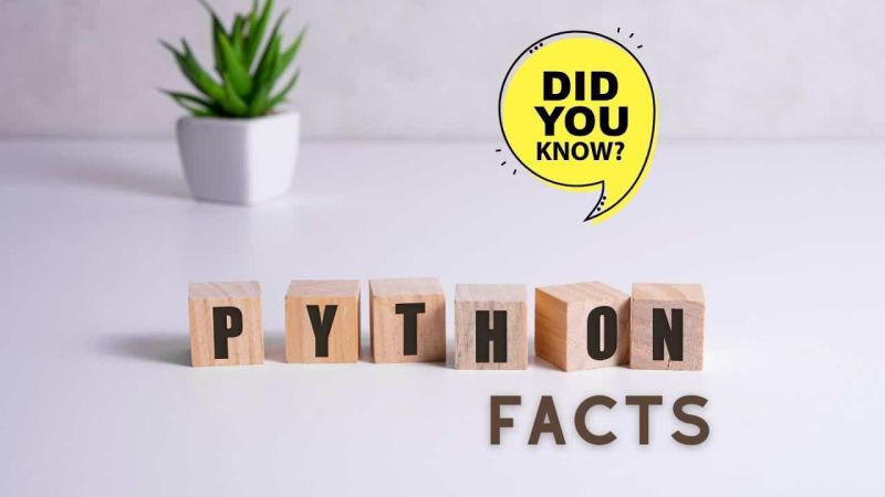 Some Captivating Facts About Python Language Techies Talk - Desktop Dark Designs for Desktop