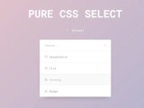 Css Style Select Boxes