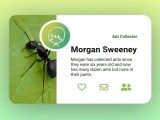 20 Best Free Css Profile Cards In 2025