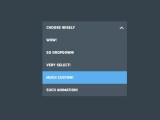 Css Style Select Boxes
