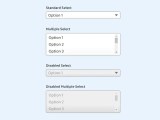 Css Style Select Boxes