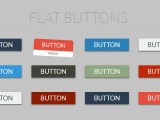 Flat Button With Css