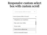 Css Style Select Boxes