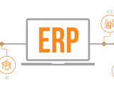 Custom Erp Development