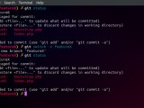 How To Switch Git To A Specified Branch Tech Language