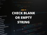 How To Check Blank Or Empty String In Java 11 Using Isblank Techndeck