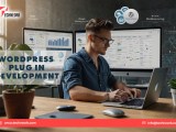 Wordpress Plugin Development Techneorb