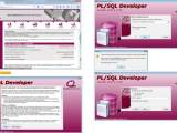 Pl Sql Developer Installation Pl Sql Tutorial Technicalblog In