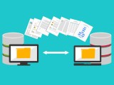 Database Migration