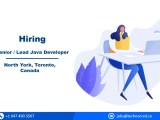 Lead Senior Java Microservice Developer Technocred