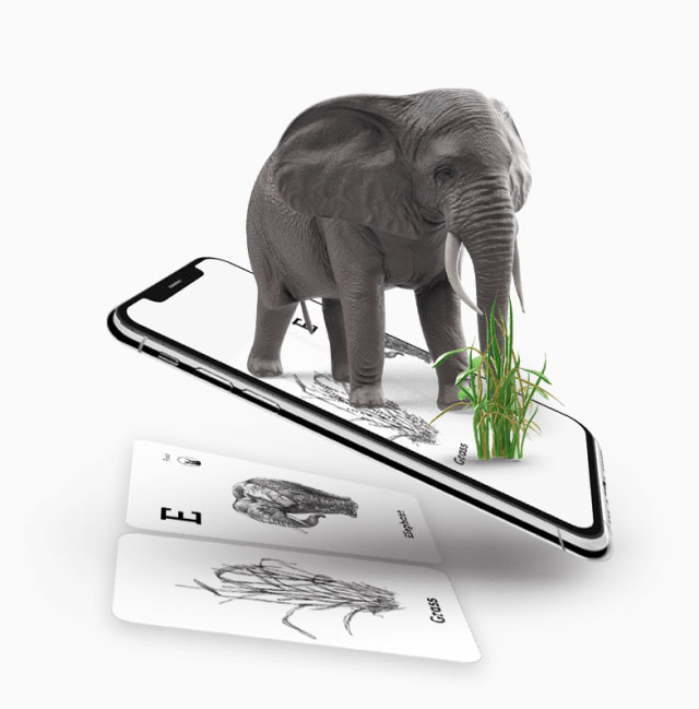 Animal 4D+ Flashcards - TechnologyEDUC