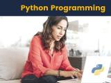 Python Programming Workshop Technophilia Skill Development