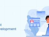 Management Software Development Software Development Company It