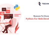 10 Key Reasons To Choose Python For Your Next Web Project