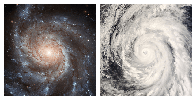 Beautiful examples of nature’s self-similarity | Technotations