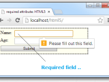 Require Attribute Html5