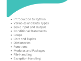 Python Programming Course Techpath Research Development