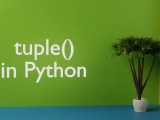 Tuple Method In Python Techpiezo