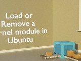 Load Or Remove A Kernel Module In Ubuntu Techpiezo
