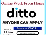 Ditto Insurance Advisor Recruitment 2023 Ditto Work From Home Job